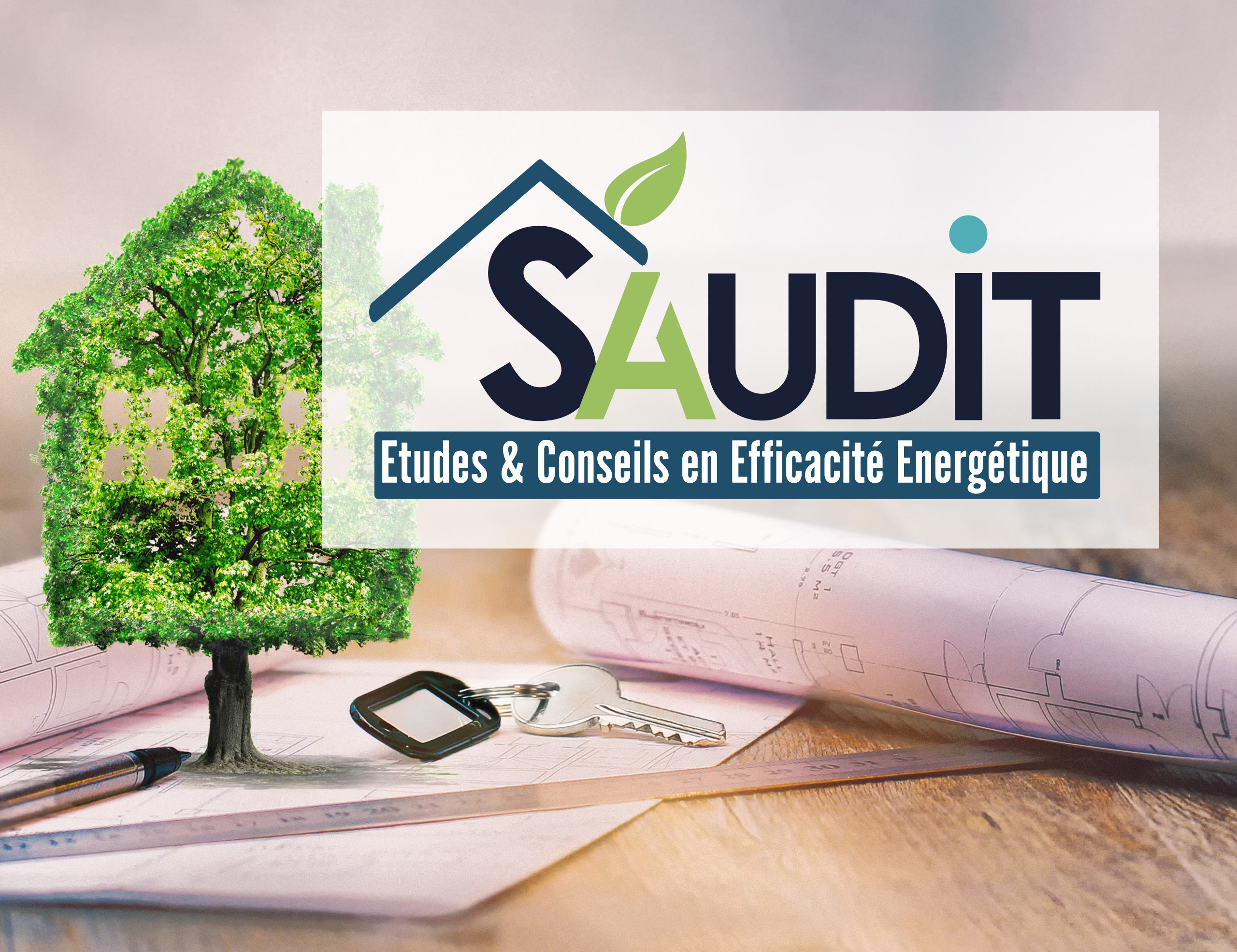 SAUDIT - Virginie HUVELLE - WEBDESIGNER